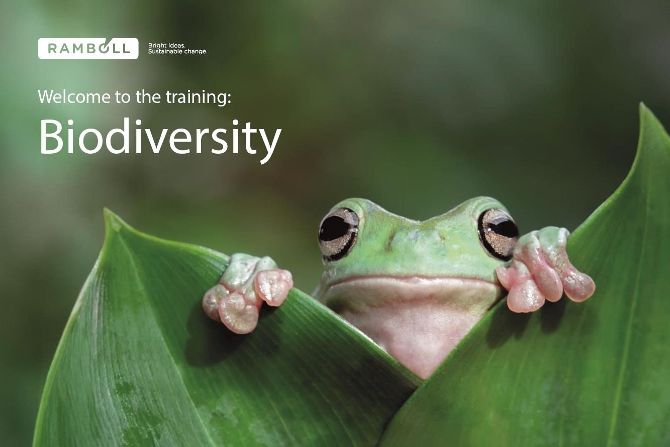 Biodiversity training - Ramboll Digital & Education